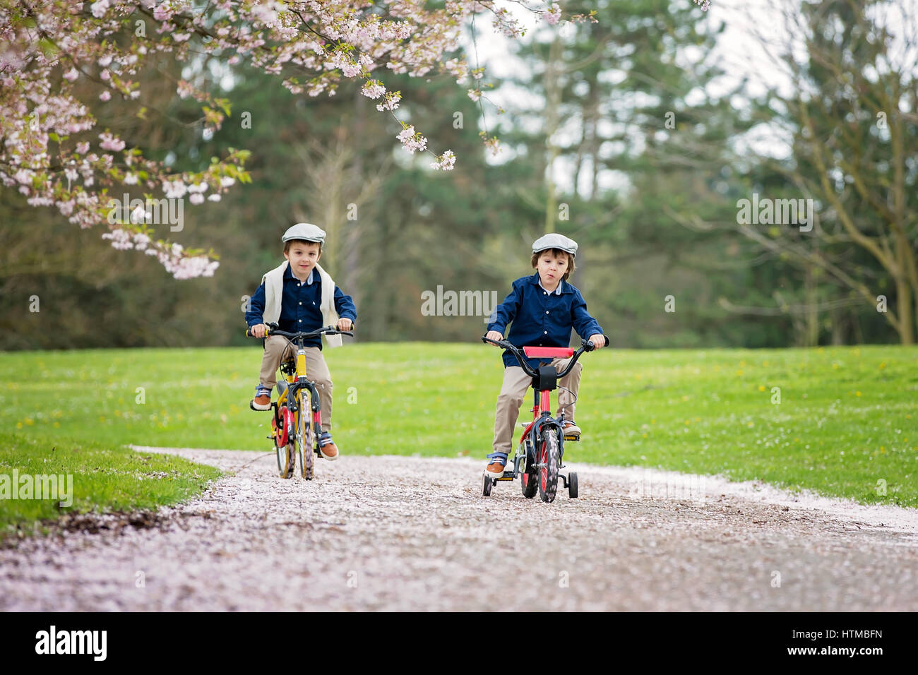 Sweet little preschool children, riding a bike in a cherry blossom ...