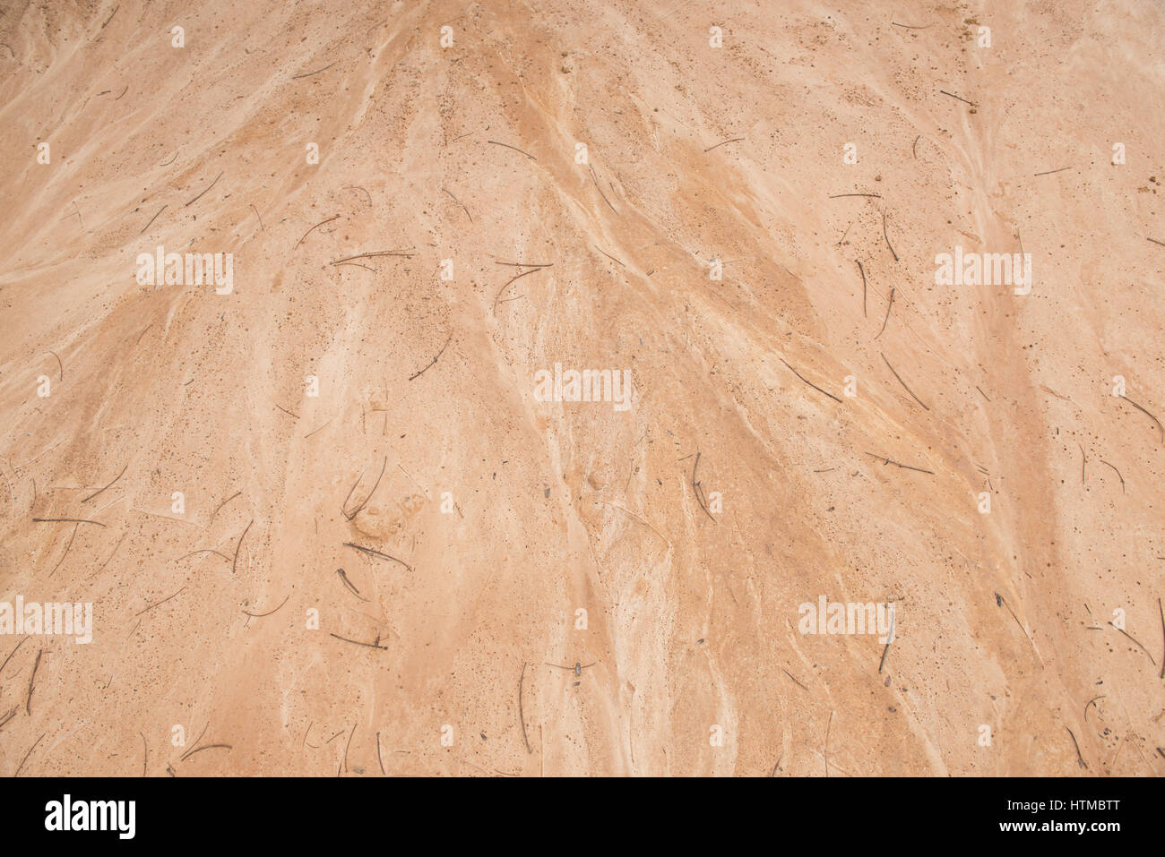 sand texture with twigs branches Stock Photo - Alamy