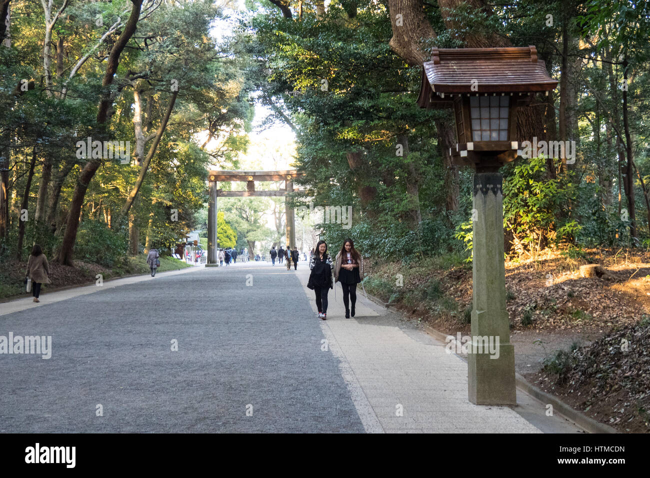People walking on a road in the Meiji Shrine forest in Shibuya, Tokyo ...
