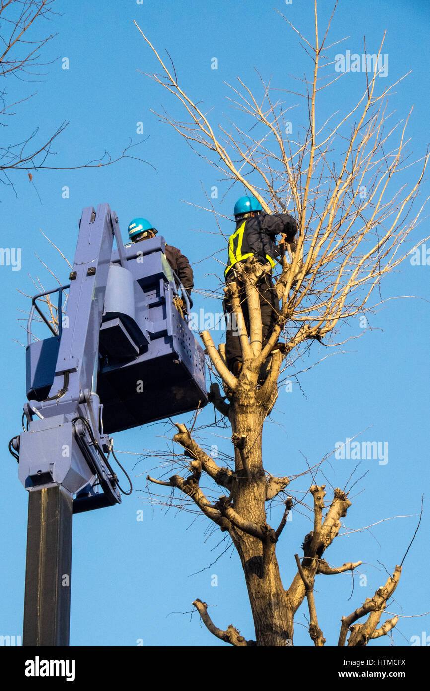 Mechanical picker hi-res stock photography and images - Alamy