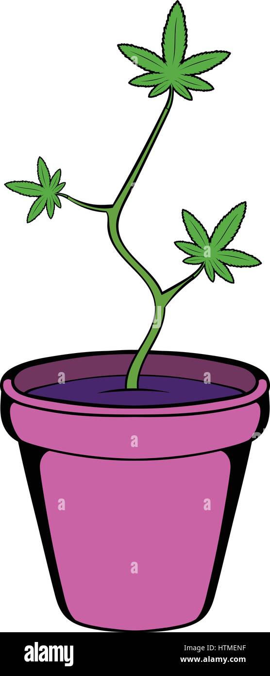 Hemp thc growing cannabis Stock Vector Images - Alamy