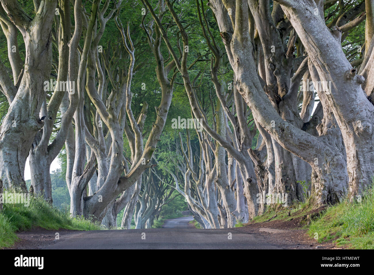 Ballymoney, county antrim hi-res stock photography and images - Alamy