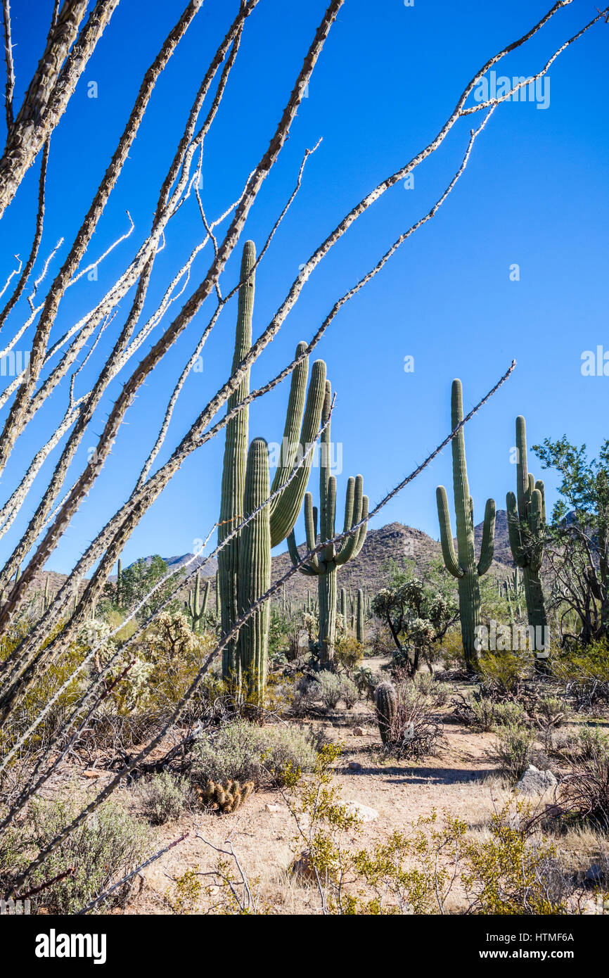 Arizona scenic landscapes hi-res stock photography and images - Alamy