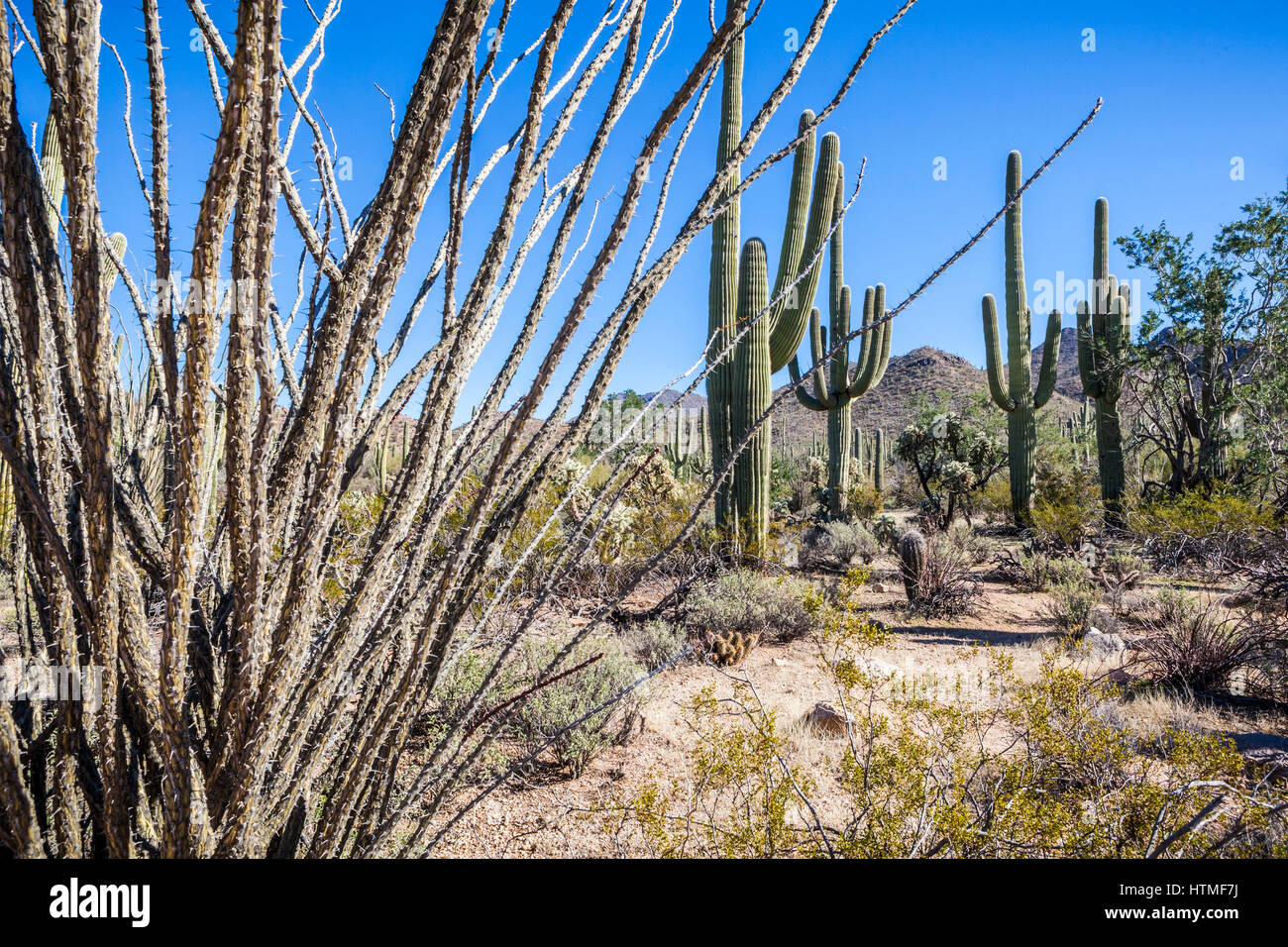 Arizona scenic landscapes hi-res stock photography and images - Alamy