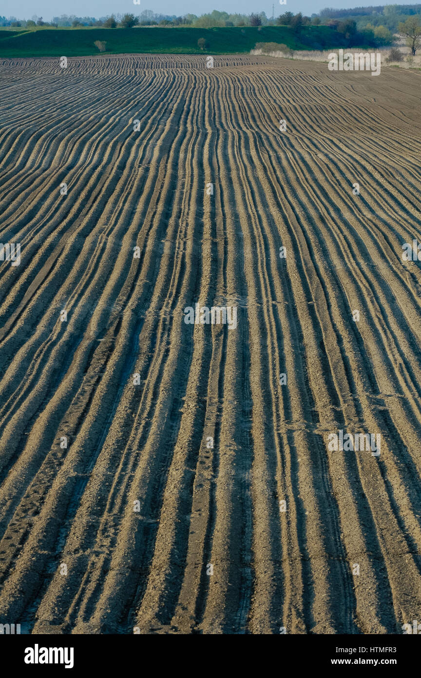 ploughed field with lines at poland Stock Photo - Alamy