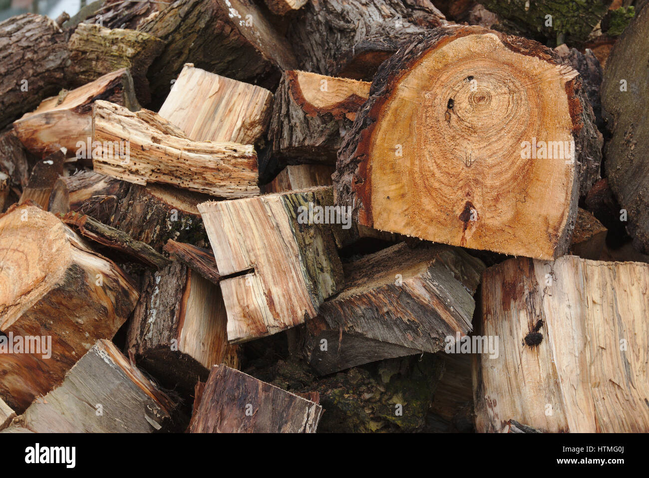 Chopped wood pile hi-res stock photography and images - Alamy