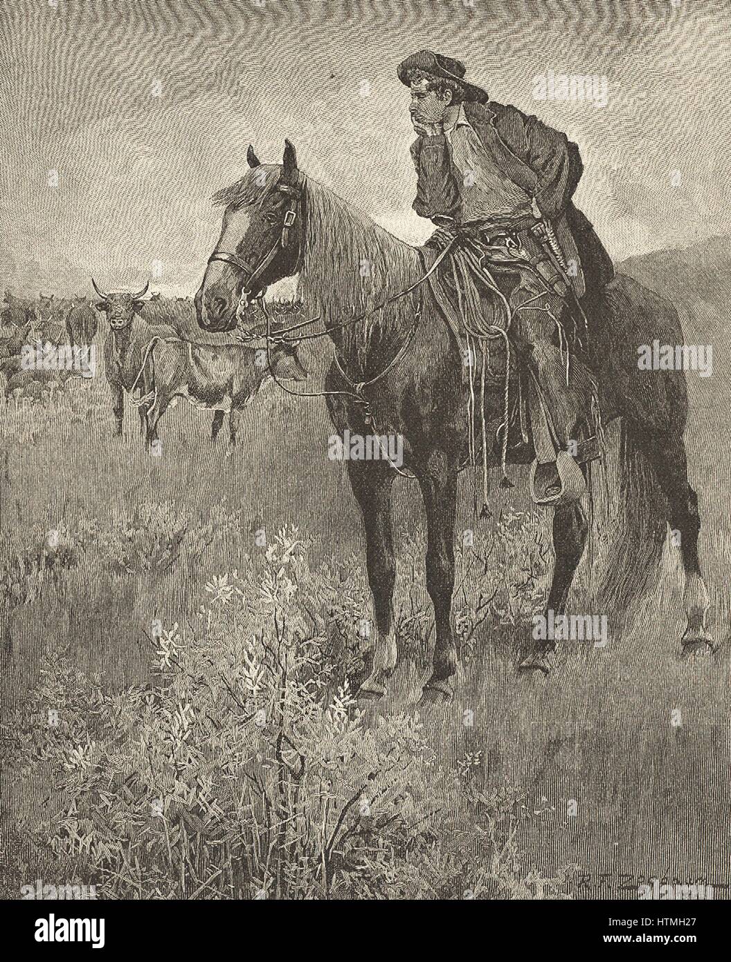 Cattle drive 19th century hi-res stock photography and images - Alamy