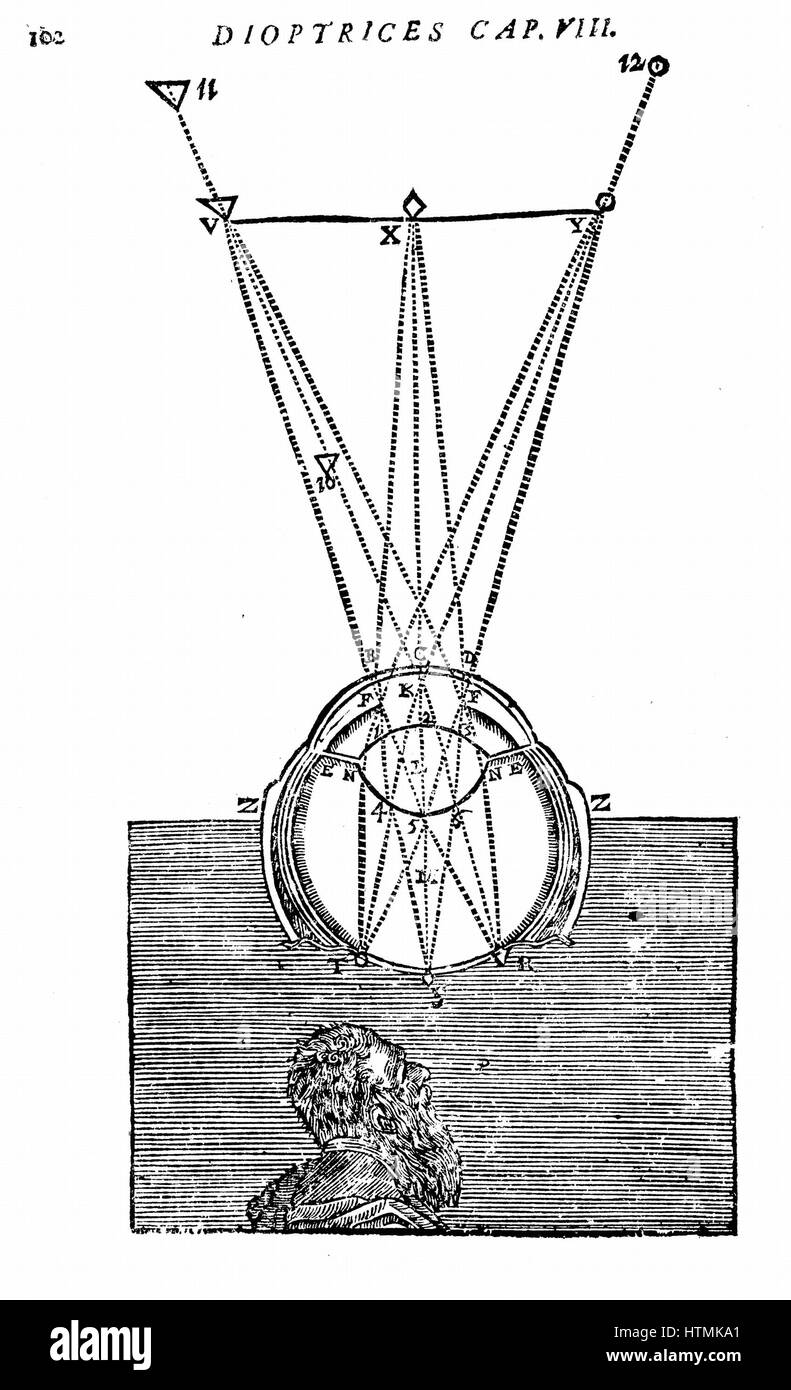 Descartes' explanation of vision, showing light rays being passed ...