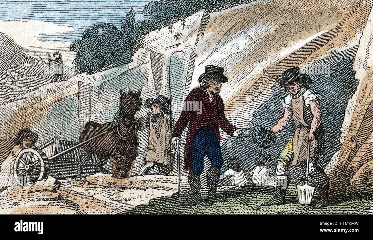 Fossil hunting in Cherry Hinton chalk pit, Cambridgeshire. One of ...