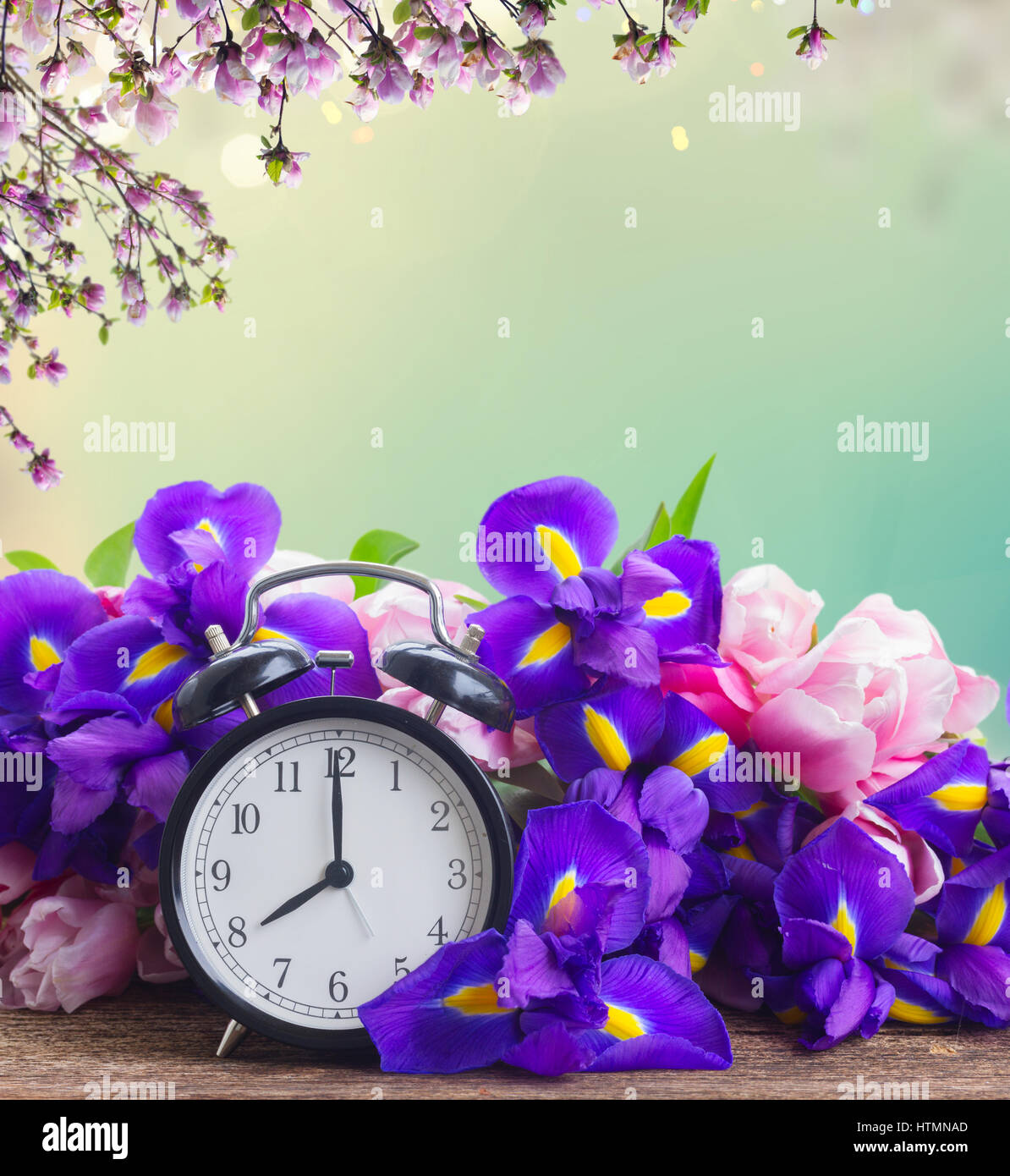 Spring time concept Stock Photo - Alamy