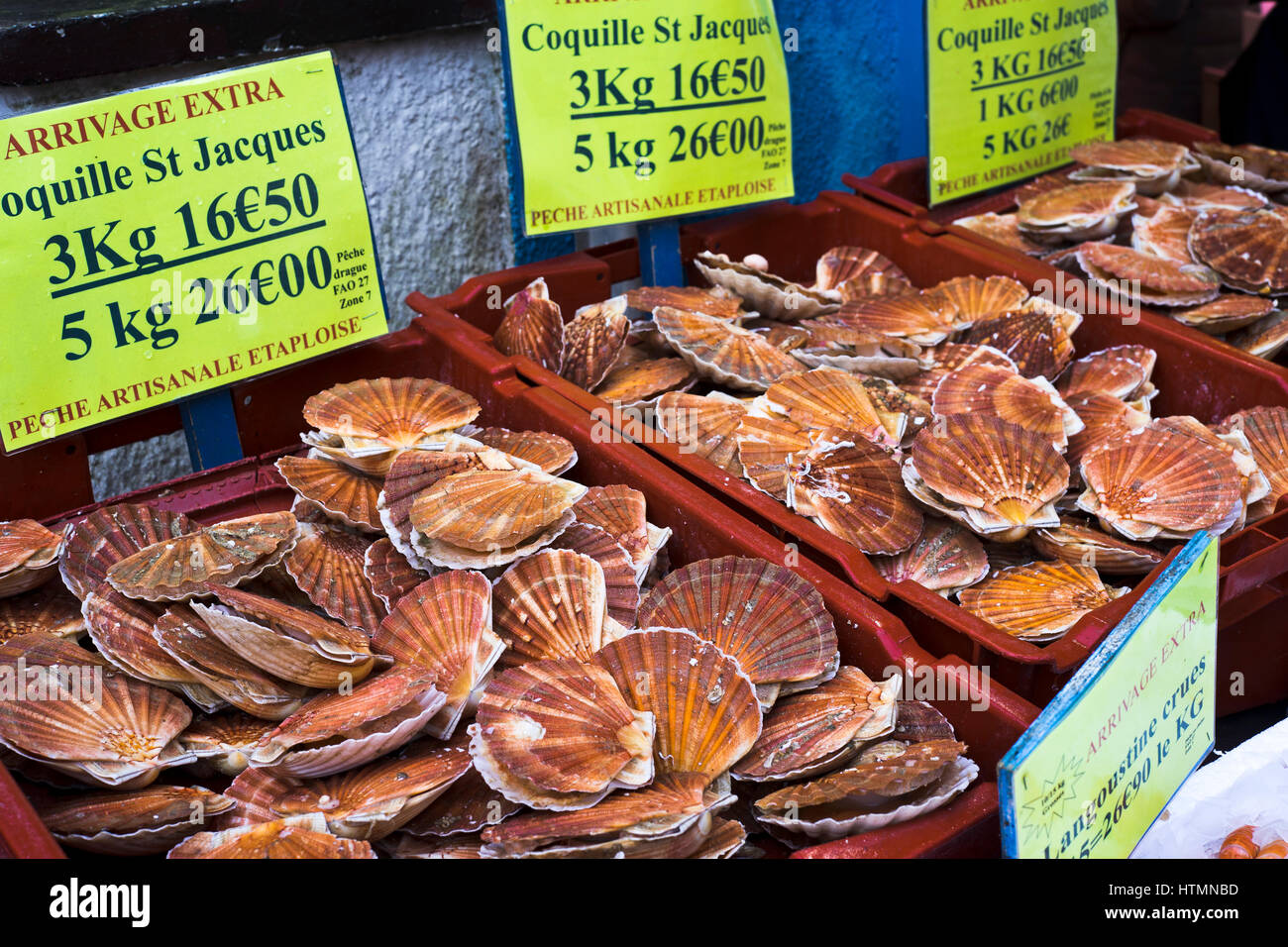 Luxury fish hi-res stock photography and images - Alamy