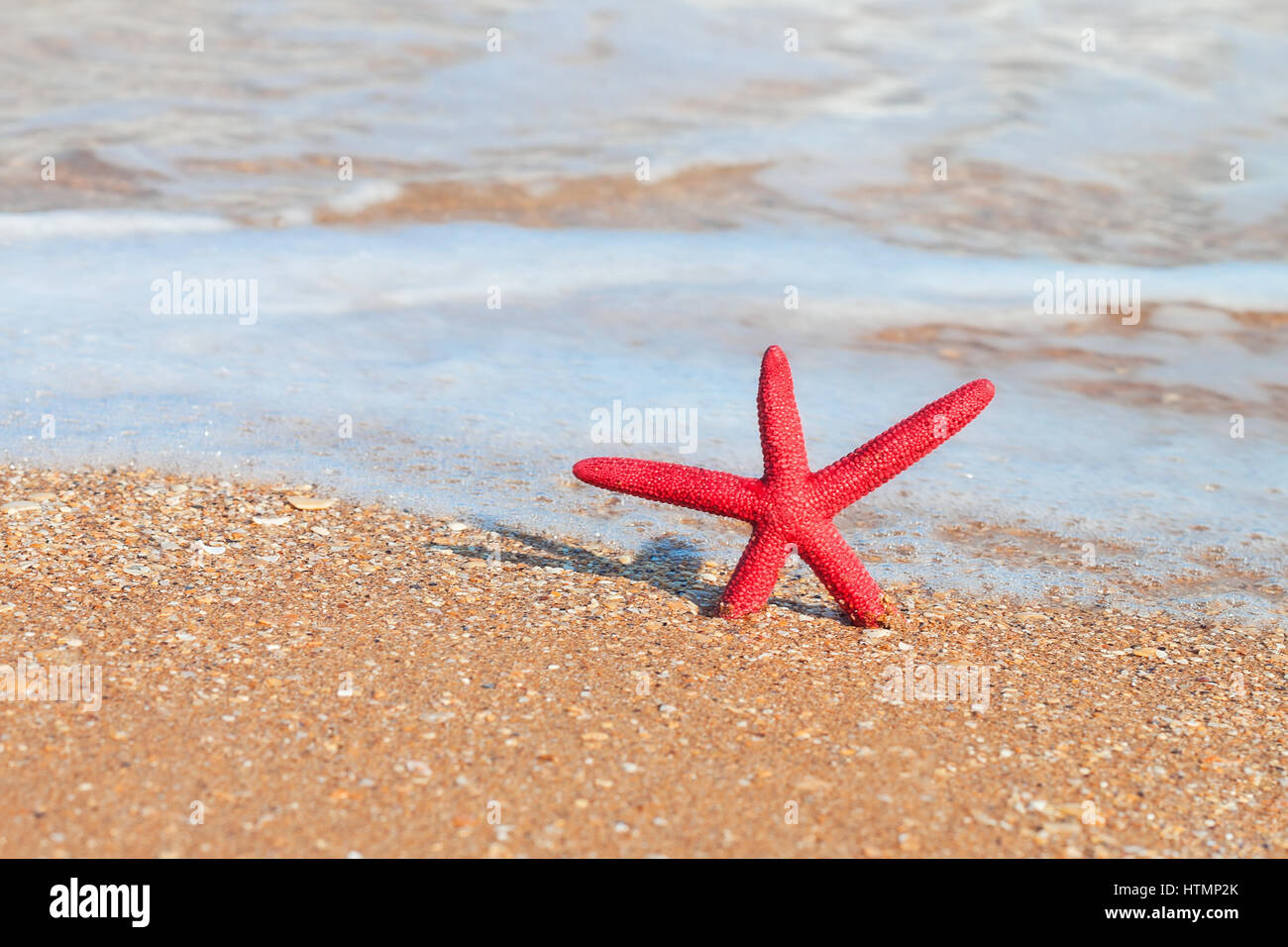 red starfish on the beach Stock Photo - Alamy