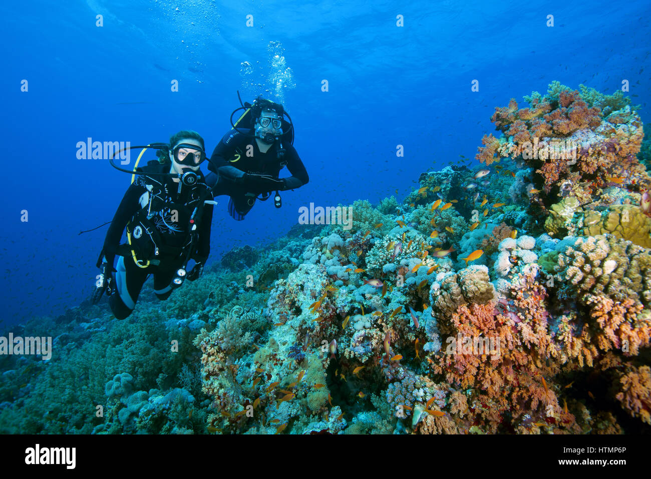 Man scuba dive fish hi-res stock photography and images - Alamy