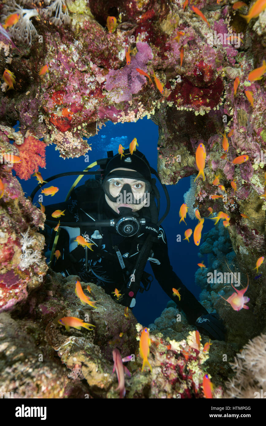 Female scuba diver looks into cave and looks at school of fish sea ...