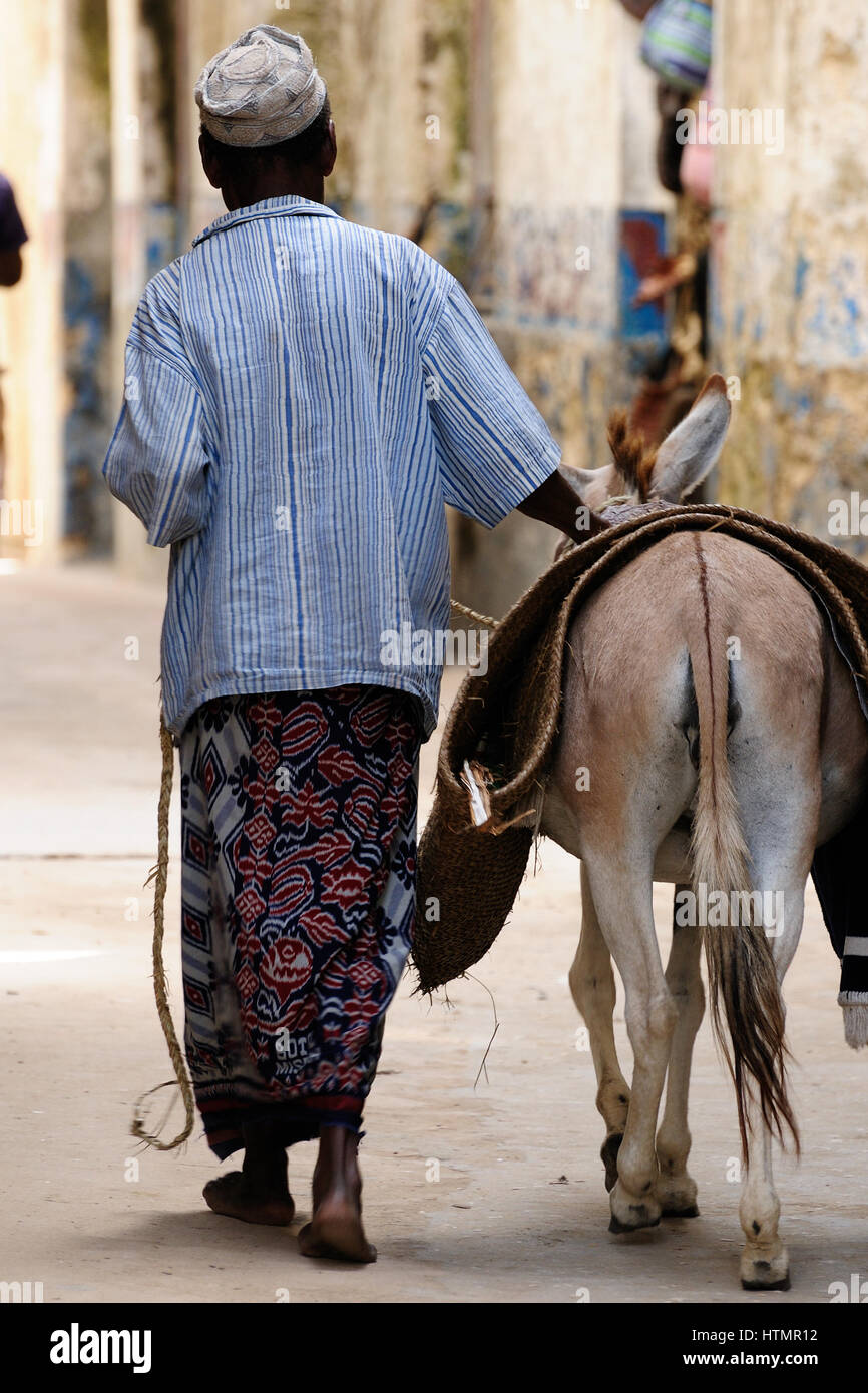 Indian donkey hi-res stock photography and images - Alamy