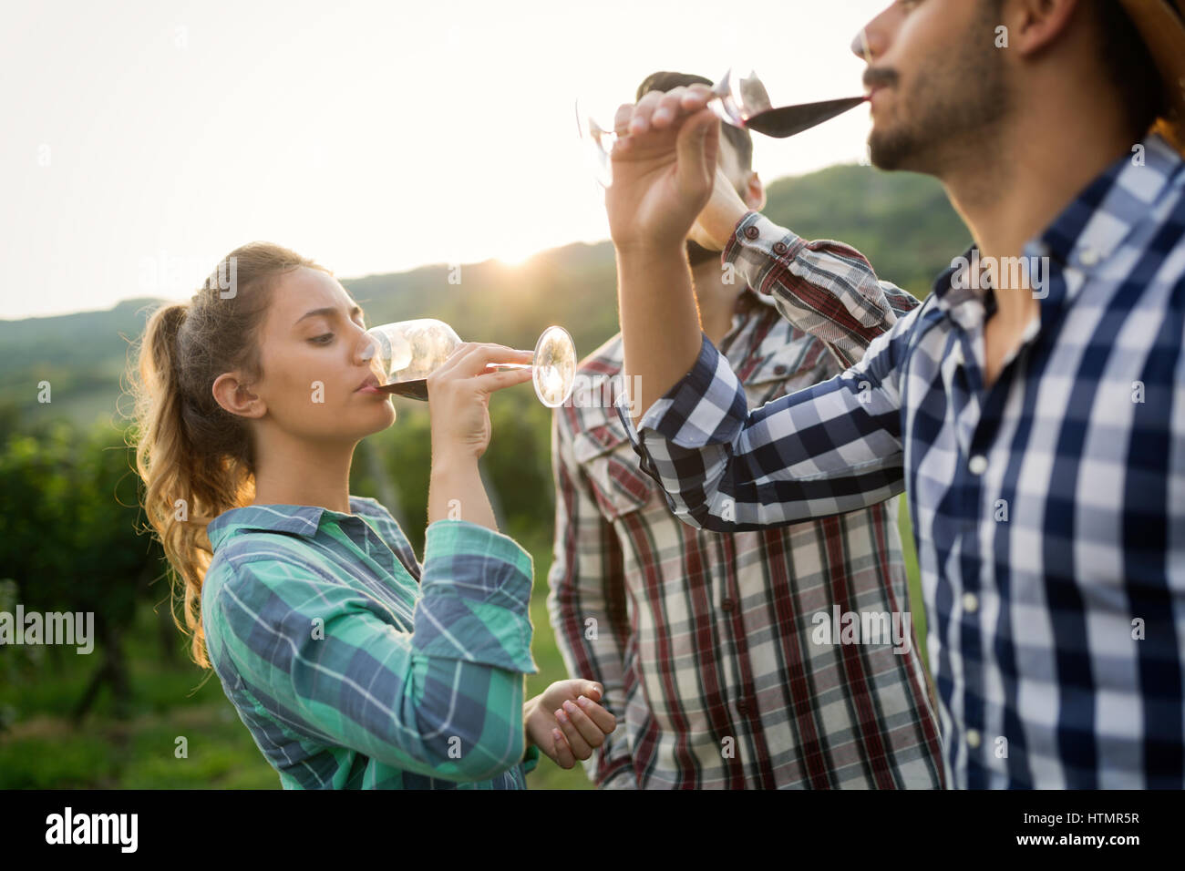 Wine grower and people in winery vineyard Stock Photo - Alamy