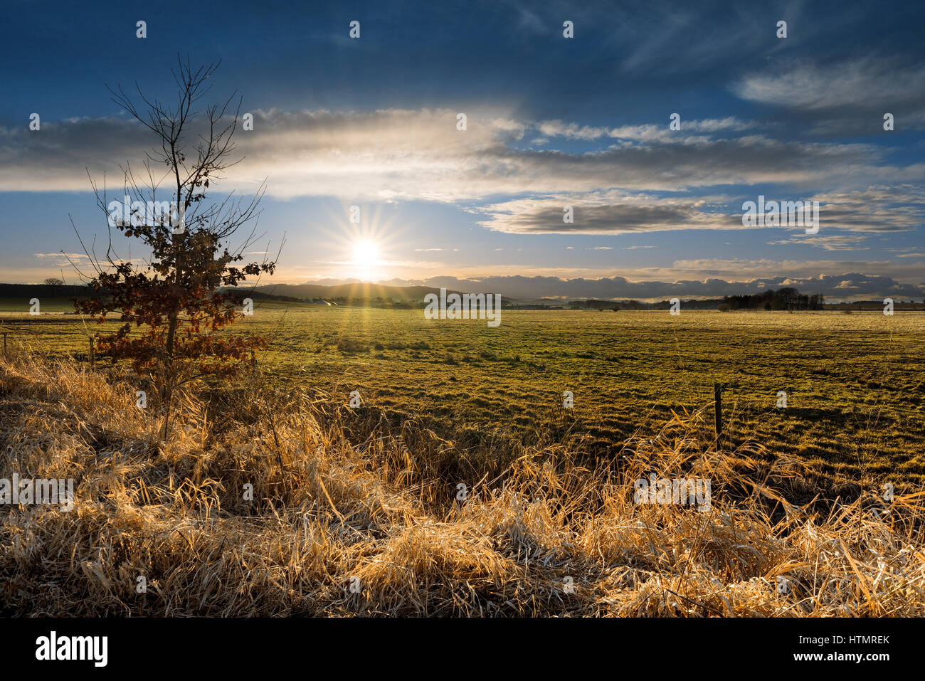 Evening landscape with sunset light Stock Photo - Alamy