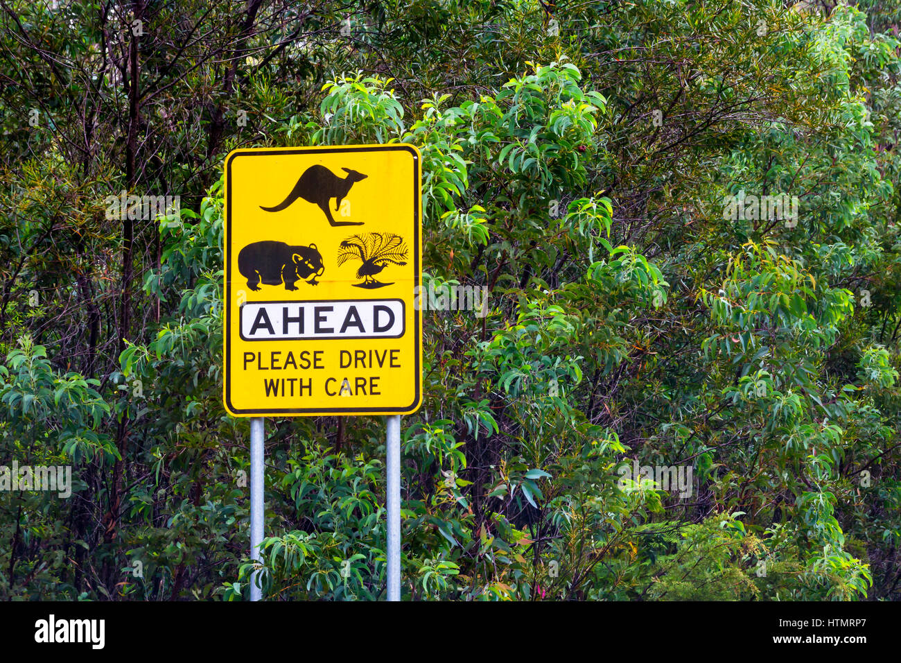 Roadsign Wildlife Ahead, Australia Stock Photo - Alamy