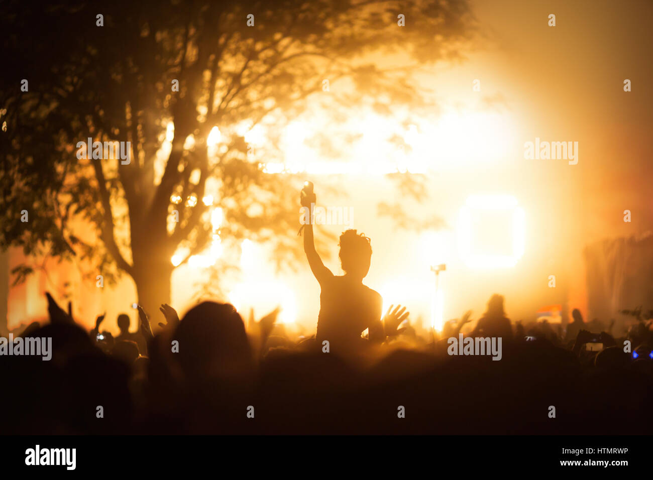 Crowd enjoying concert at festival dancing and partying Stock Photo - Alamy