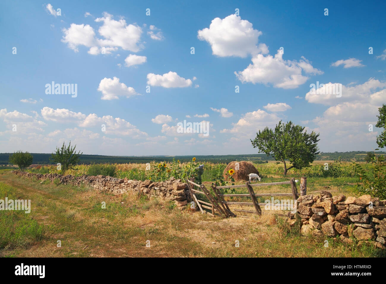 Yard terrain hi-res stock photography and images - Alamy