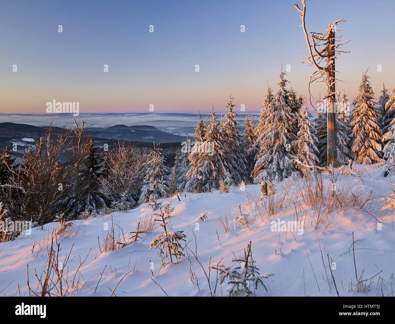 Thuringian forests hi-res stock photography and images - Alamy