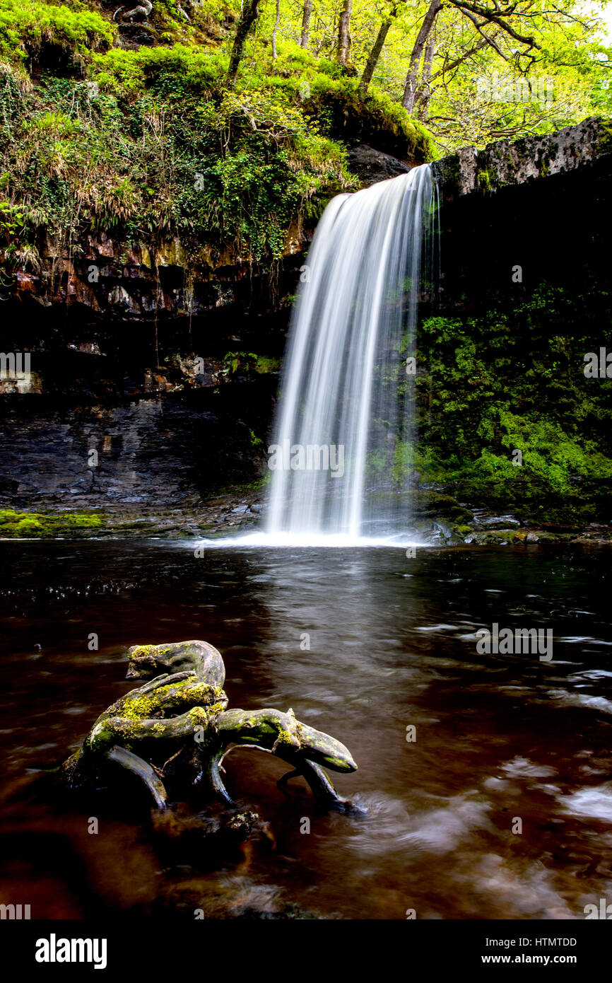 Sgwd Gwdladys ,Waterfall Stock Photo - Alamy