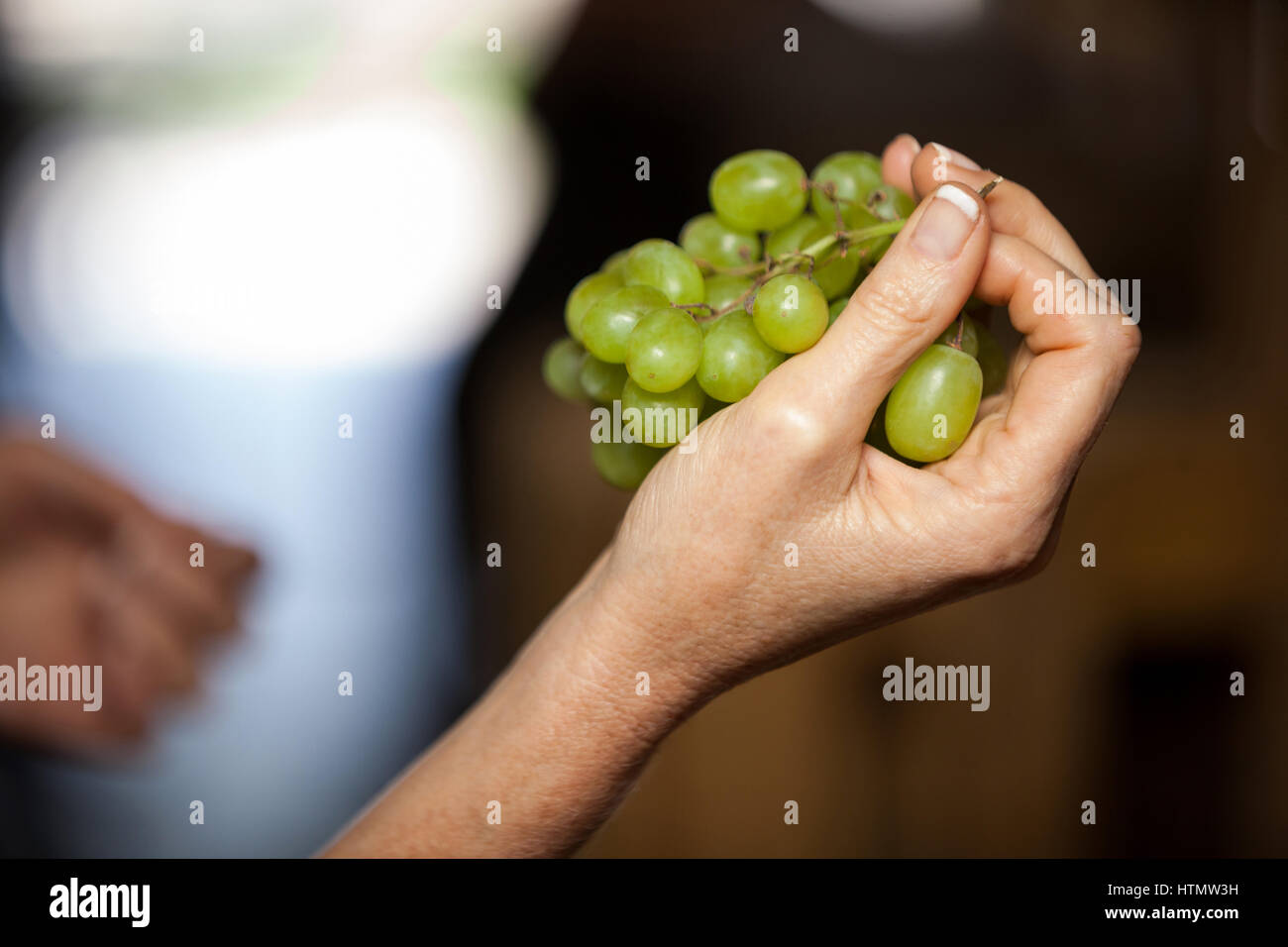 Close-up of woman hand holding grapes Stock Photo - Alamy