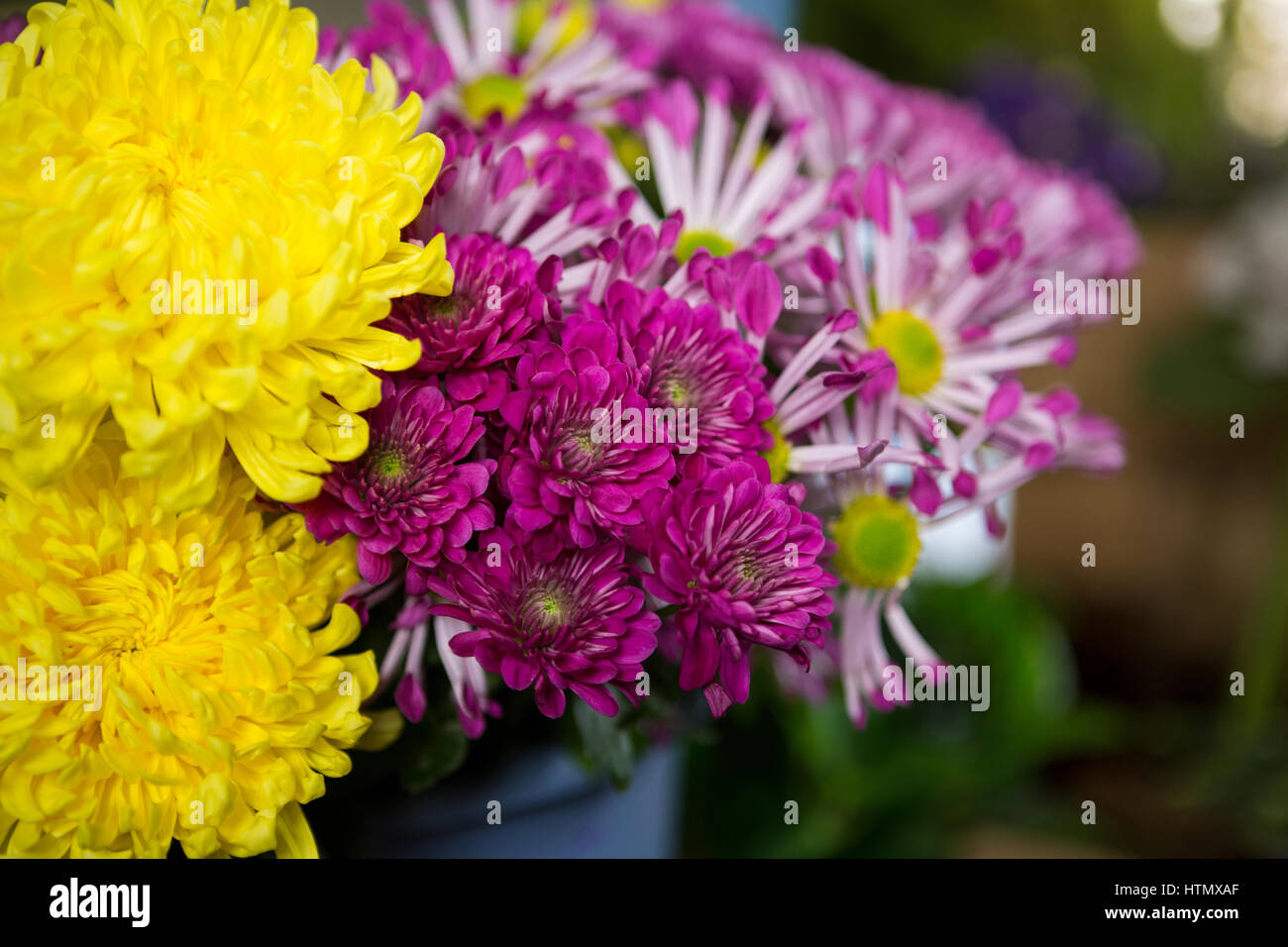 Scrolling pink flowers hi-res stock photography and images - Alamy
