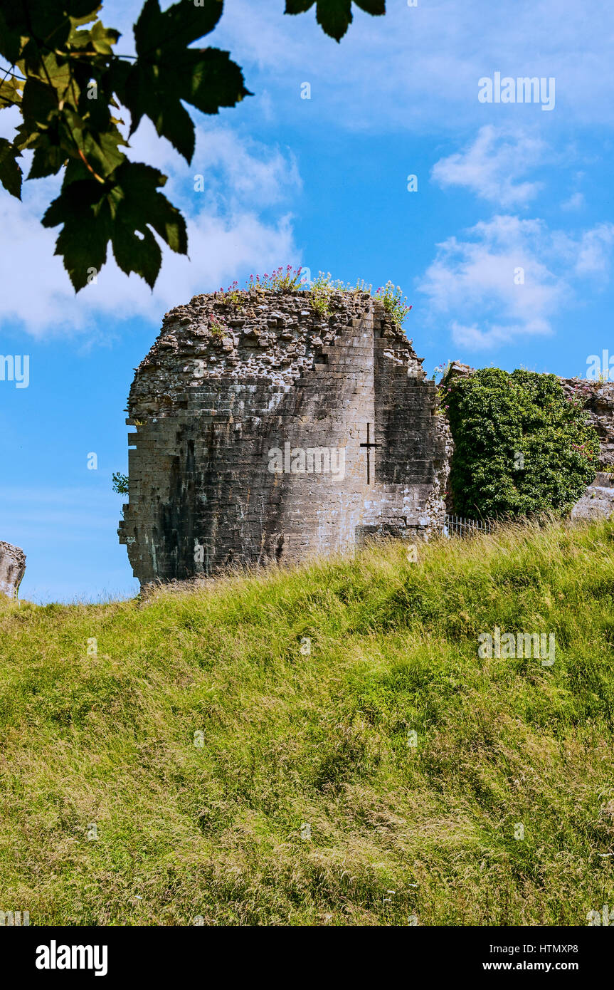 The ruins of a grey stone tower and shrub covered walls stand on a ...