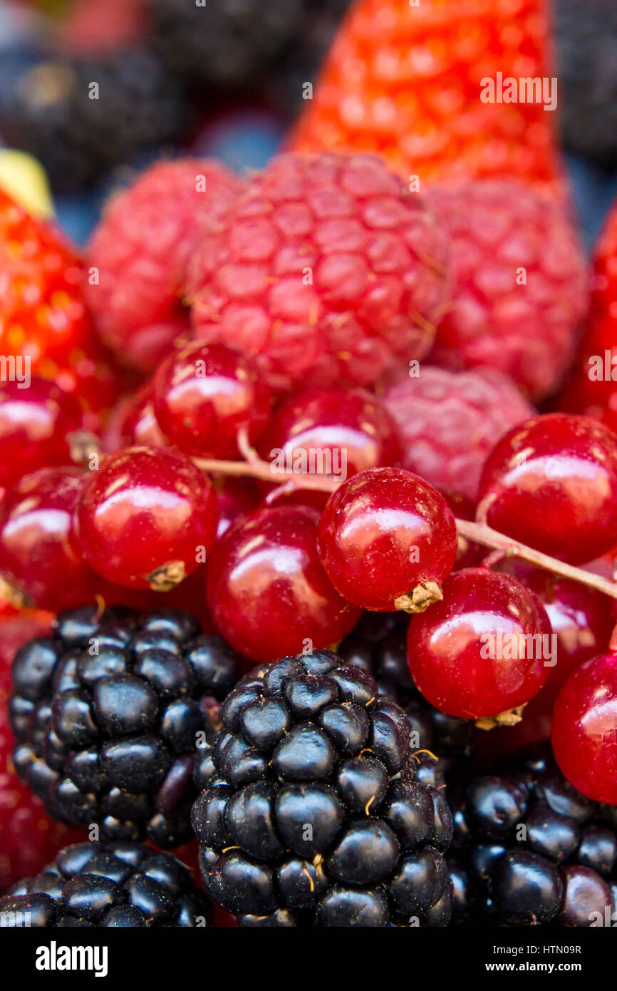 mix of summer berries fruits Stock Photo - Alamy