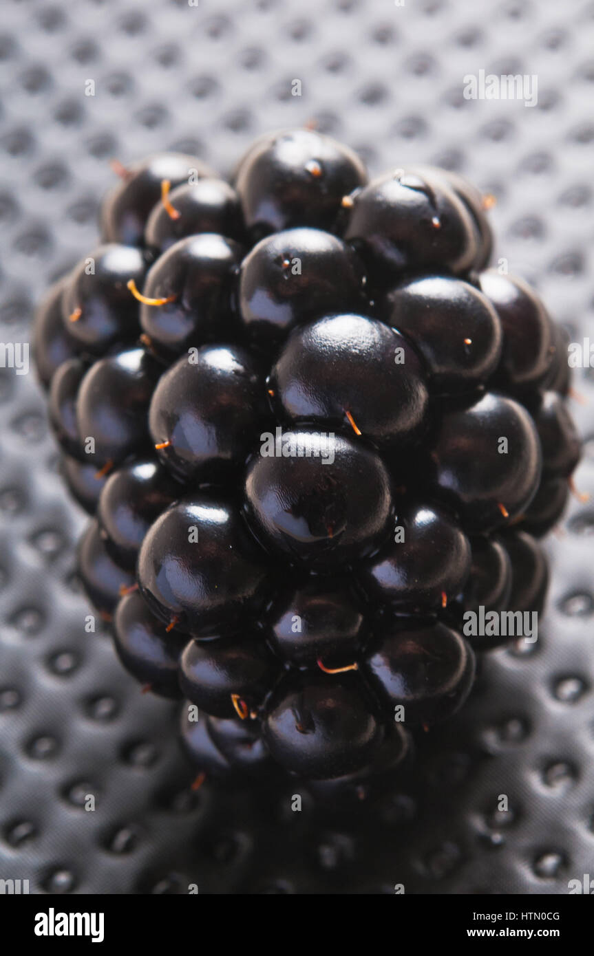a blackberry fruit Stock Photo - Alamy