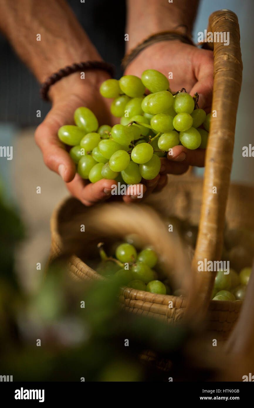 Hand of male staff grapes in organic section of supermarket Stock Photo ...