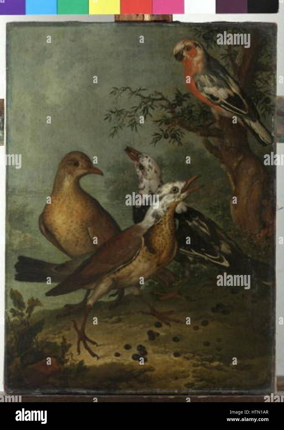 1667 1750 hi-res stock photography and images - Alamy