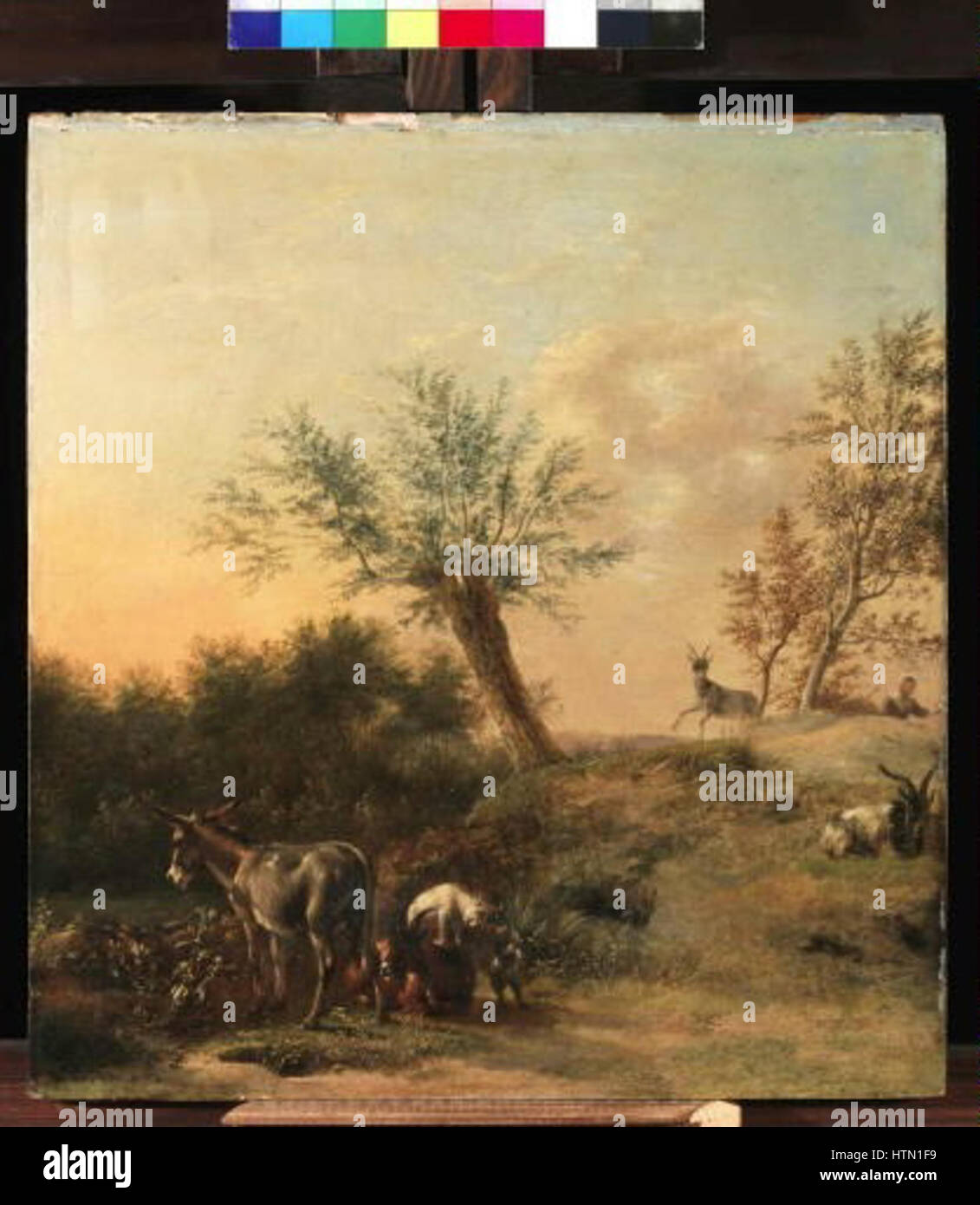 Pieter Potter High Resolution Stock Photography and Images - Alamy