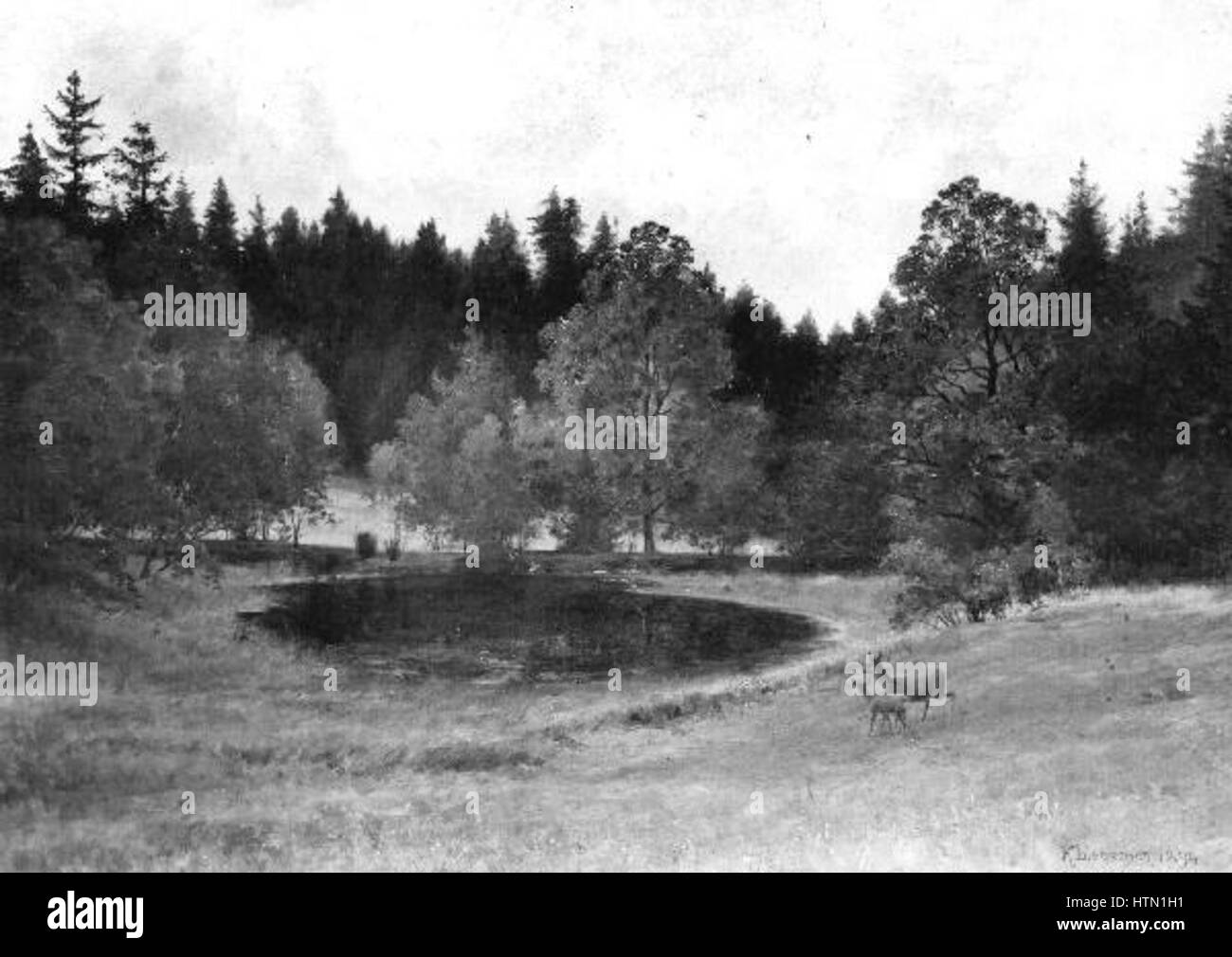 Karel Liebscher 23.2.1851-20.4.1906 - Srny v parku Stock Photo - Alamy