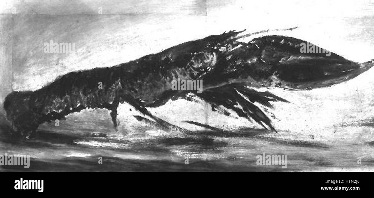 Josef 1798 1865 hi-res stock photography and images - Alamy