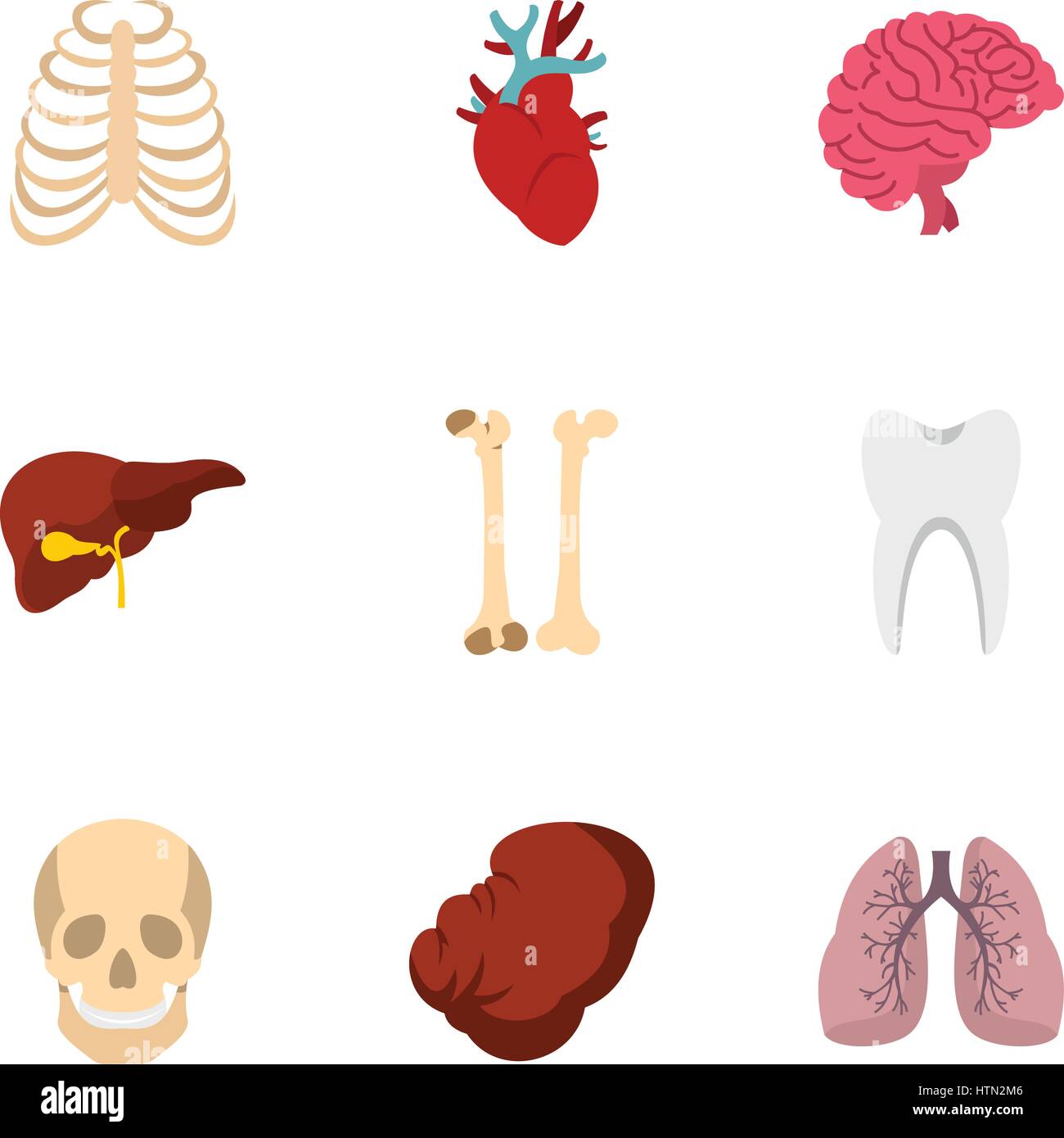 Human organs anatomy icons set. Flat illustration of 9 human organs ...