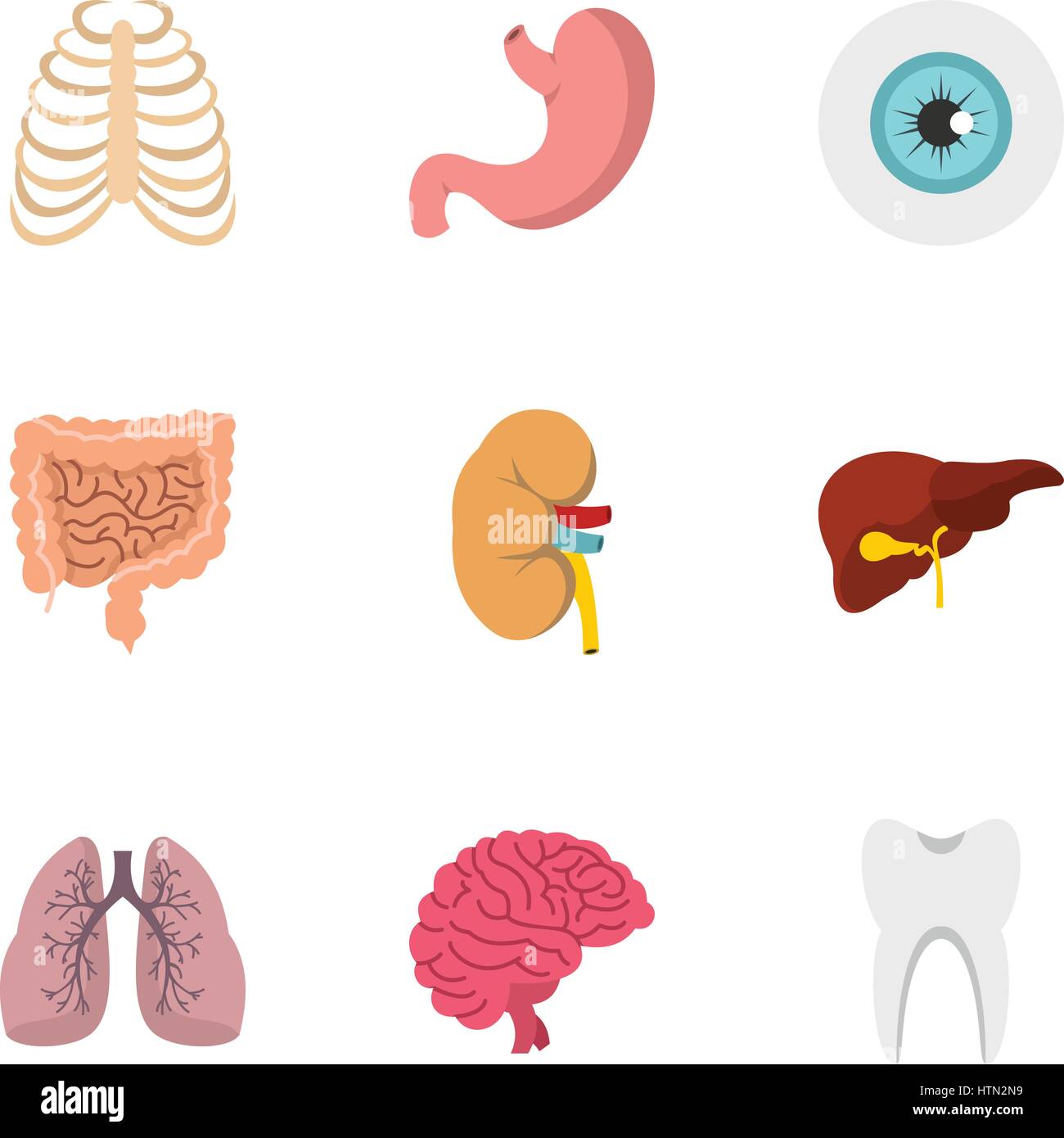 Viscera icons set. Flat illustration of 9 viscera vector icons for web ...