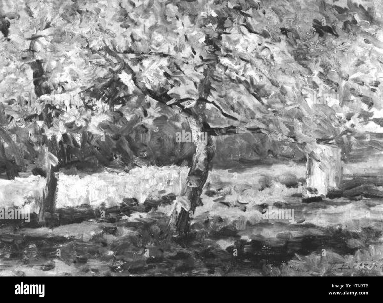 Brezina Black and White Stock Photos & Images - Alamy