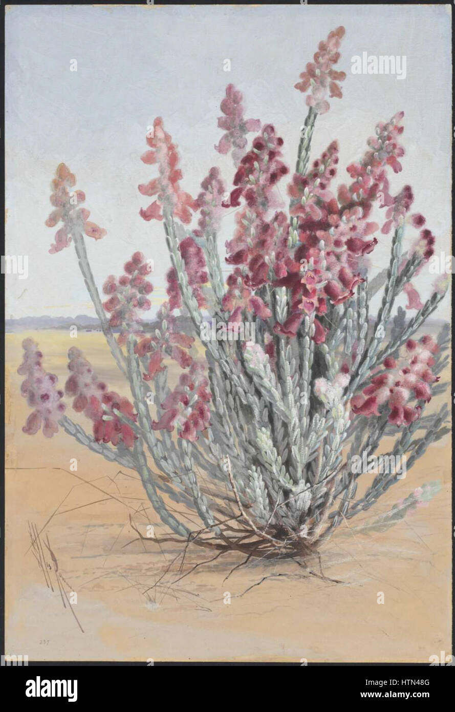 Nla design hi-res stock photography and images - Alamy