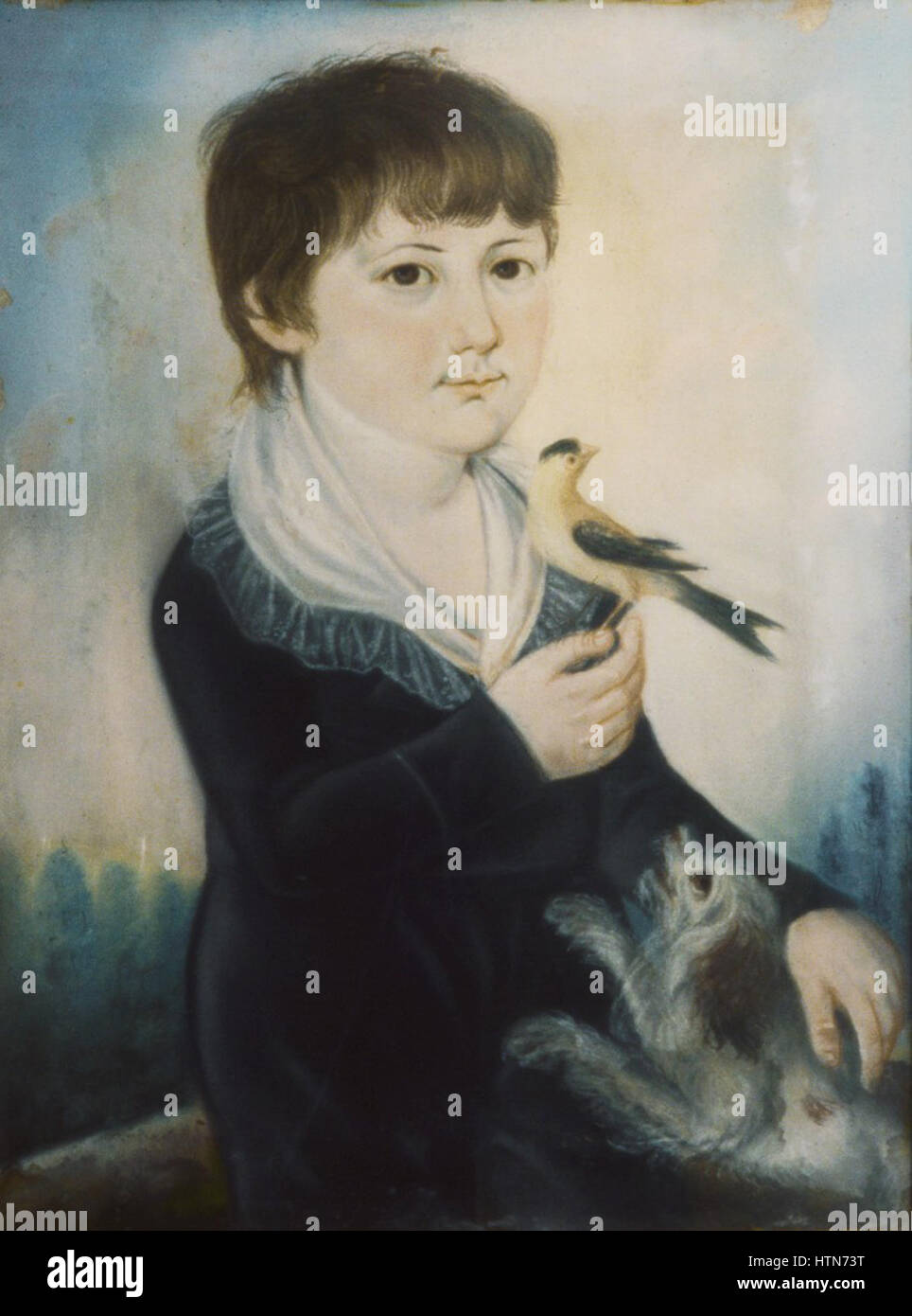 James McSherry Coale (1805-1882) Powers Stock Photo - Alamy