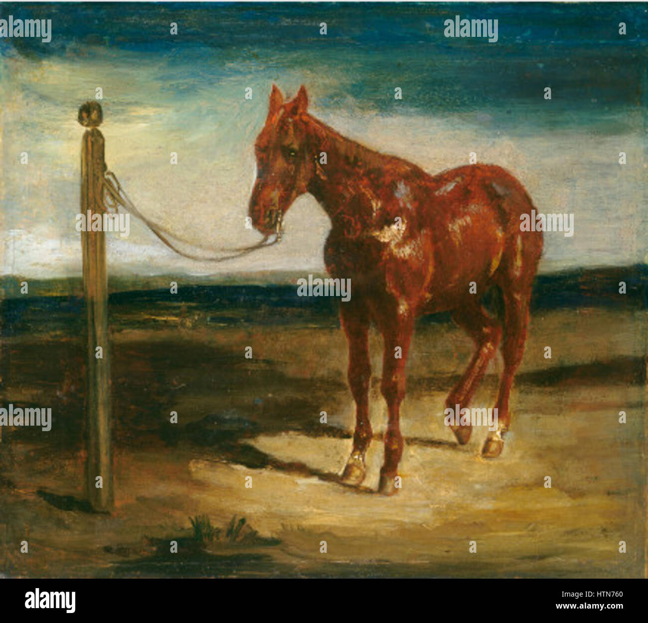 A horse hitched to a post Stock Photo - Alamy