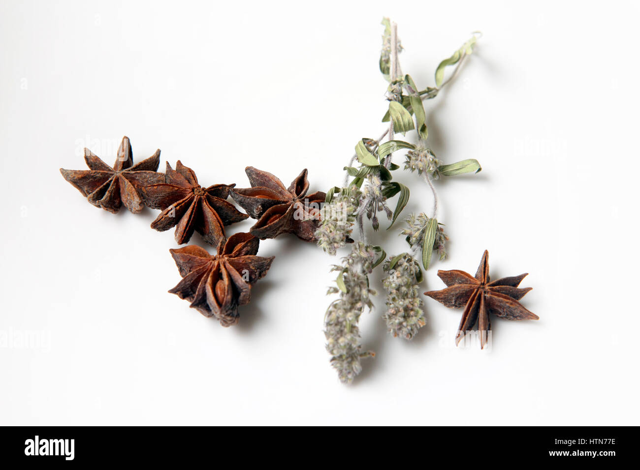 Star anise spice fruits and mint isolated on white background Stock ...