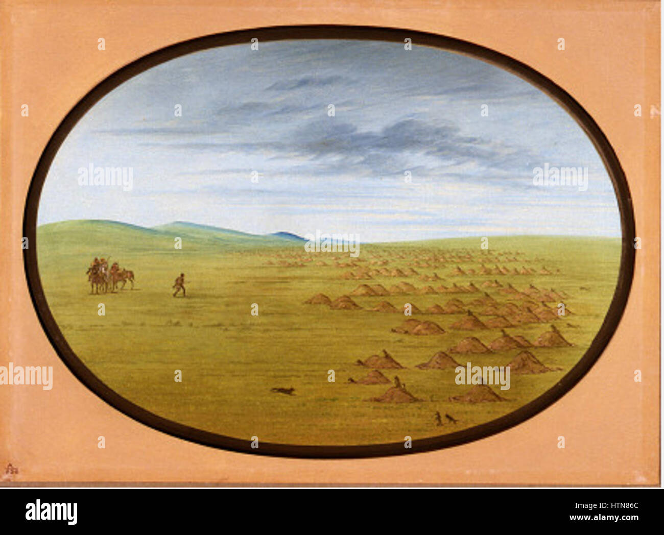 Prairie dog drawing hi-res stock photography and images - Alamy