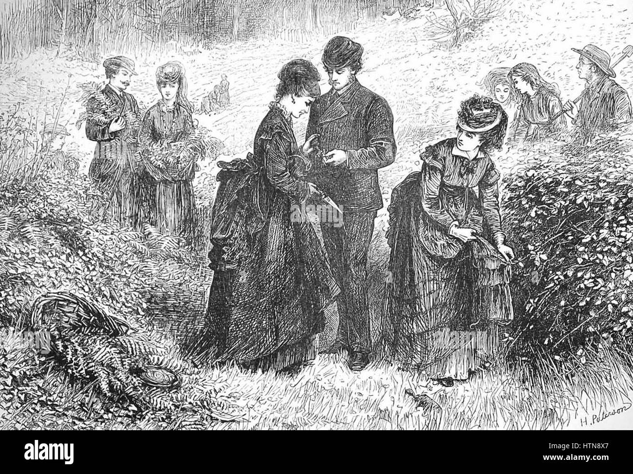 Pteridomania refers to the Victorian fascination with ferns, which led ...