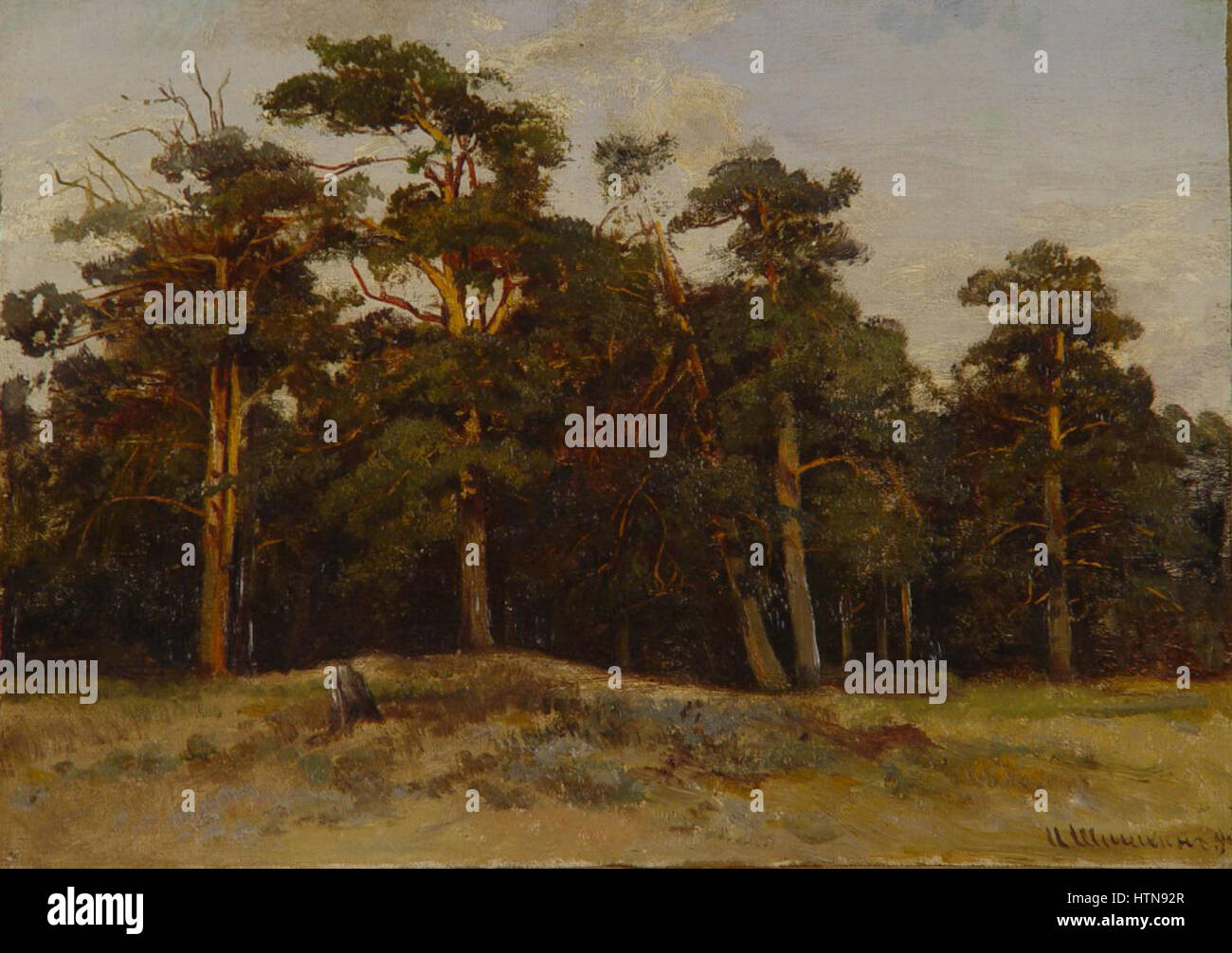 Shishkin hi-res stock photography and images - Alamy