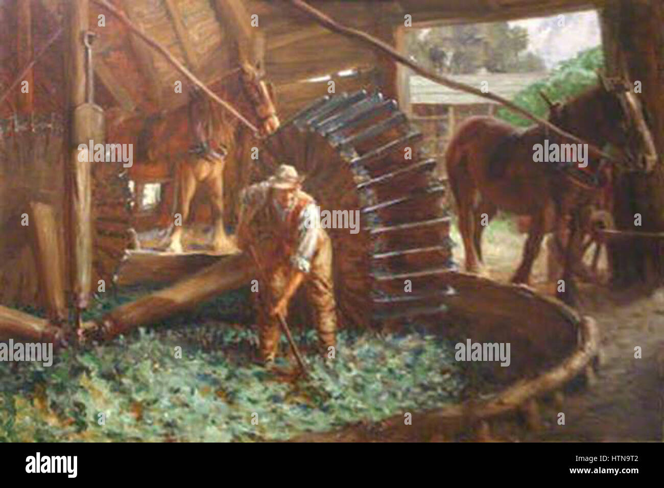 Woad mill, Parson Drove Stock Photo - Alamy