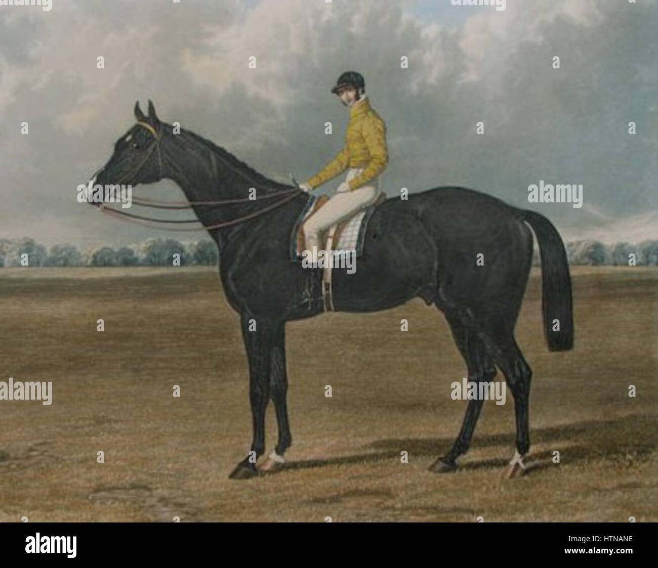 Launcelot hi-res stock photography and images - Alamy