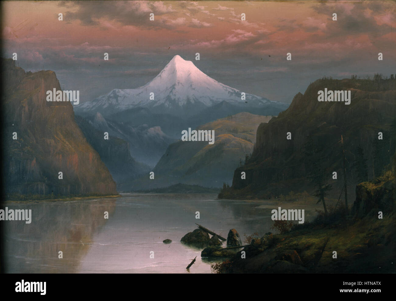 Parrott painting hi-res stock photography and images - Alamy