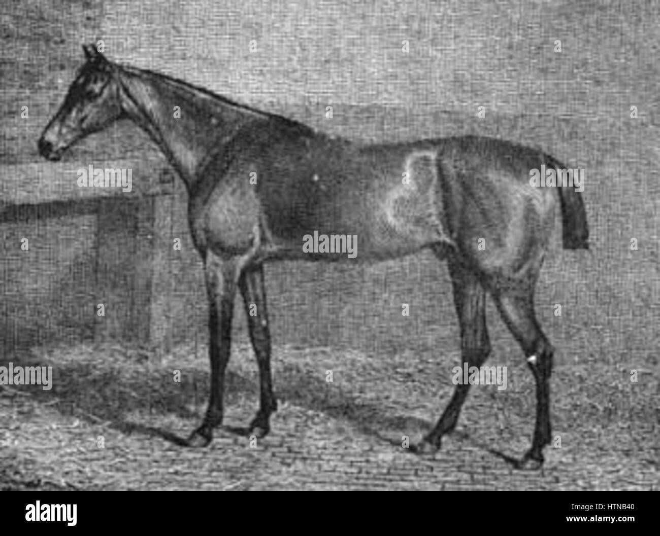 Napoleonic wars hero Black and White Stock Photos & Images - Alamy